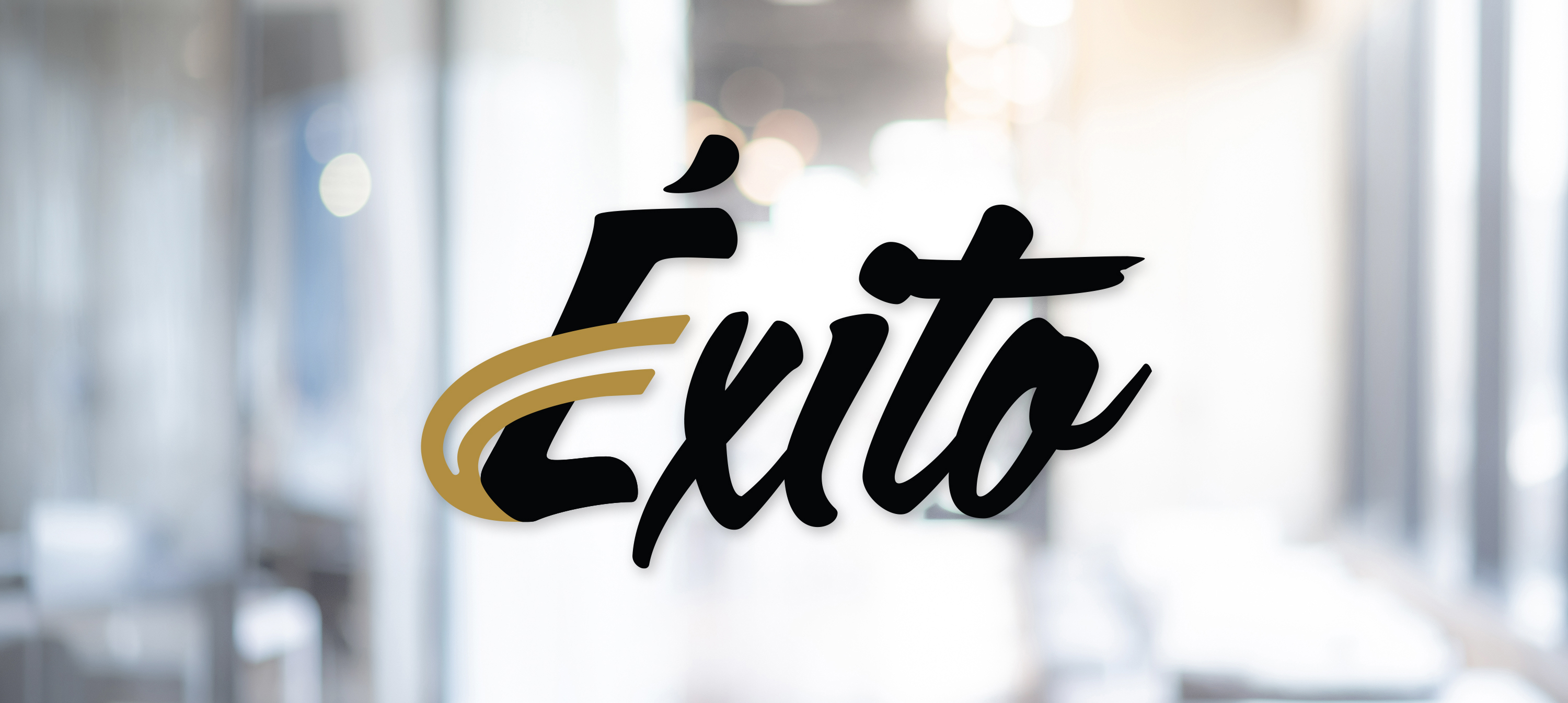 Éxito: Una nueva iniciativa para las comunidades de habla hispana ...